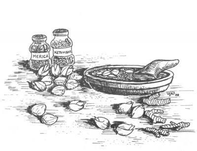 Nasu cemba (28) | Tanaduri